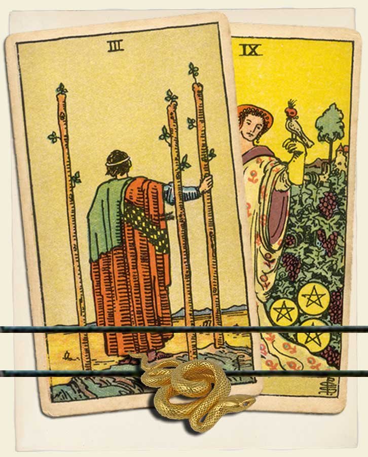 Three of Wands and Nine of Pentacles Combination Reading (with insights for love & relationships ...