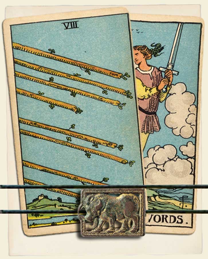 Eight of Wands and Page of Swords Combination Reading (with insights ...